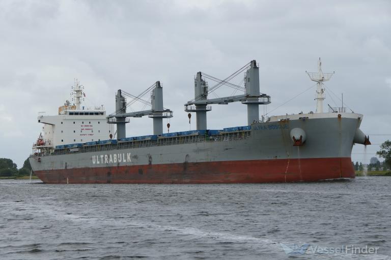 ULTRA BOSQUE, Bulk Carrier - Details and current position - IMO 9880013 ...