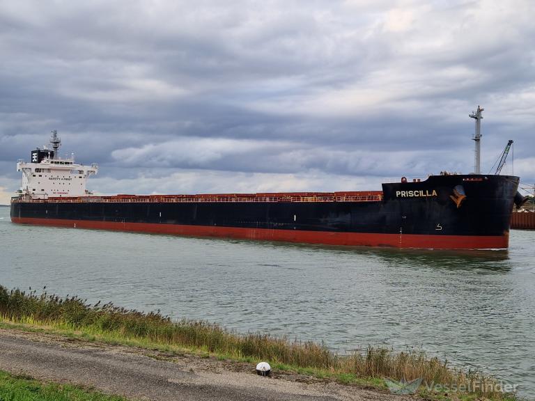 PRISCILLA, Bulk Carrier - Details and current position - IMO 9880221 - VesselFinder