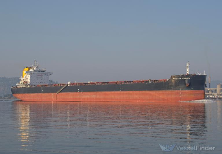 AQUAVITA ETERNITY, Bulk Carrier - Details and current position - IMO ...