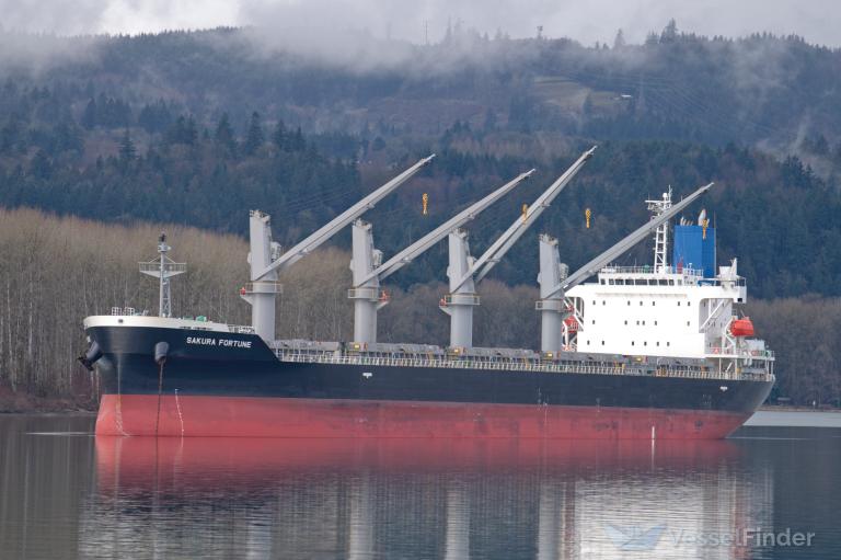SAKURA FORTUNE, Bulk Carrier - Details and current position - IMO ...