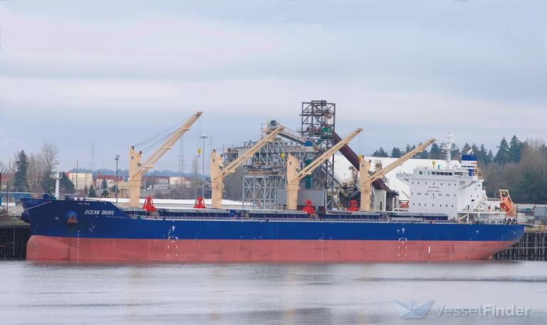 OCEAN BRAVE, Bulk Carrier - Данные судна и текущее положение - IMO ...
