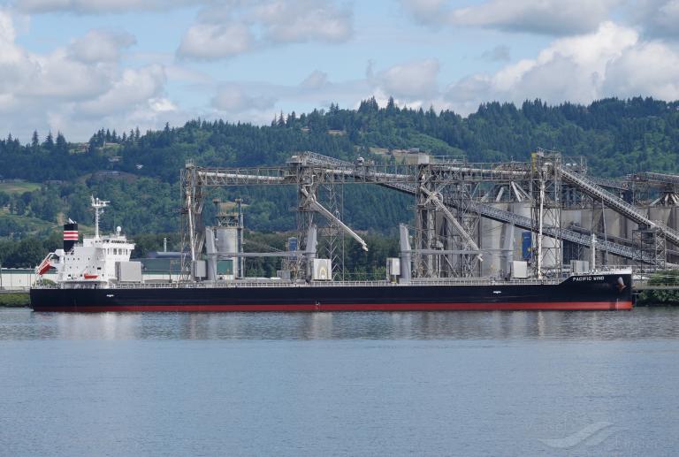 PACIFIC WIND, Bulk Carrier - Details and current position - IMO 9883508 ...