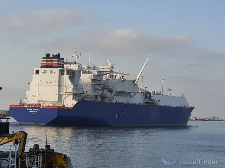 ELISA AQUILA, LNG Tanker - Details and current position - IMO 9884473 ...