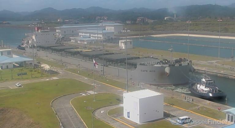 CAPE ACE, Bulk Carrier - Details and current position - IMO 9885051 ...