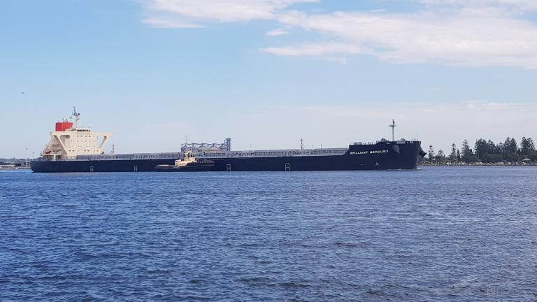 BRILLIANT MERCURY, Bulk Carrier - Details and current position - IMO ...