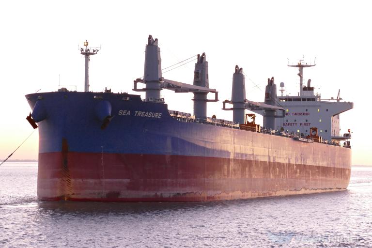 SEA TREASURE, Bulk Carrier - Detalles del buque y posición actual - IMO 9885427 - VesselFinder