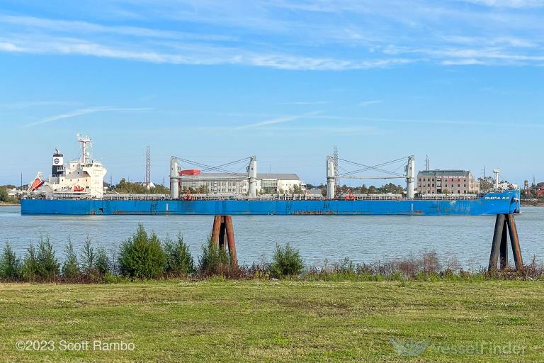 CELESTIAL BLUE, Bulk Carrier - Details and current position - IMO 9885439 - VesselFinder