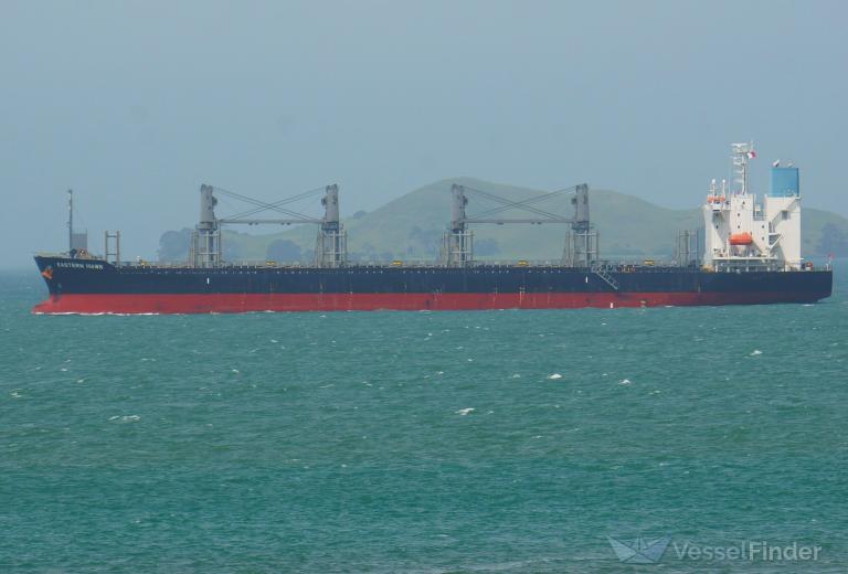 EASTERN HAWK, Bulk Carrier - Details and current position - IMO 9888869 ...