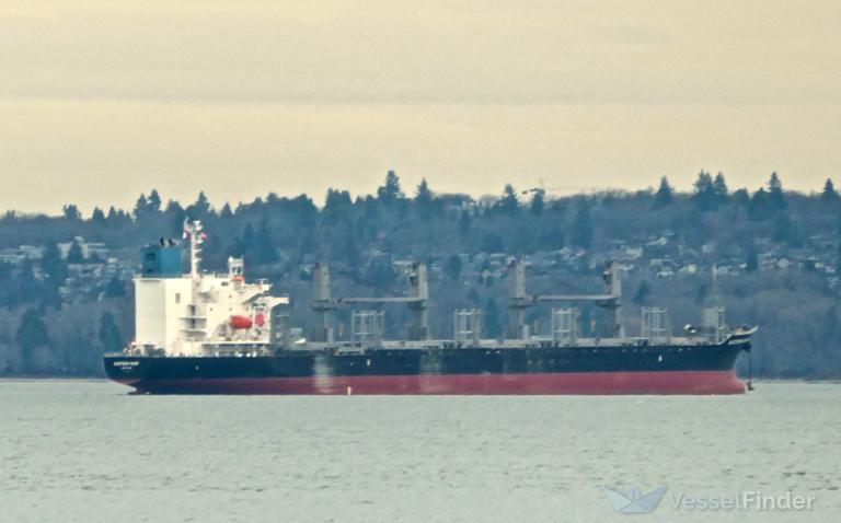 EASTERN HAWK, Bulk Carrier - Details and current position - IMO 9888869 ...