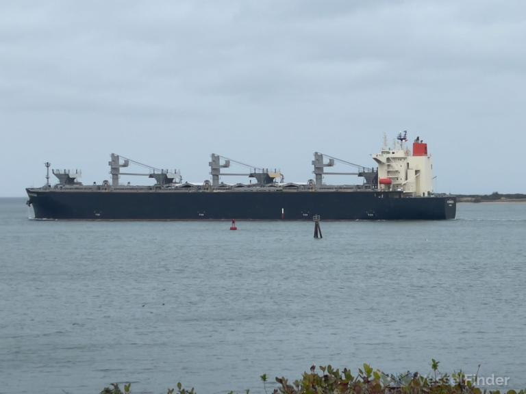 HYDRANGEA, Wood Chips Carrier - Details and current position - IMO ...