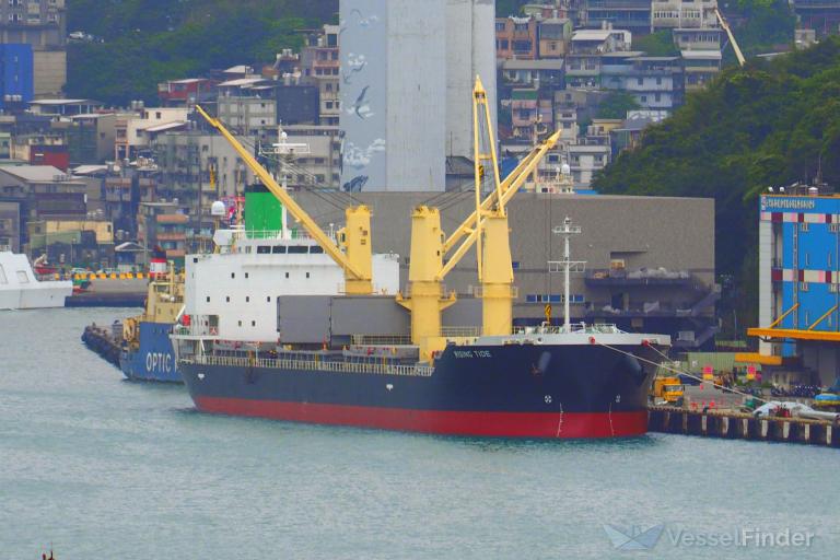 RISING TIDE, Bulk Carrier - Details and current position - IMO 9889693 ...