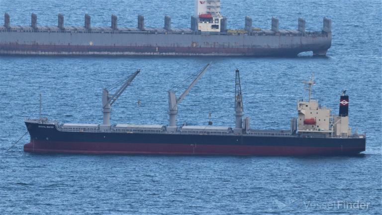 ORIENTAL MASTER, General Cargo Ship - Details and current position ...