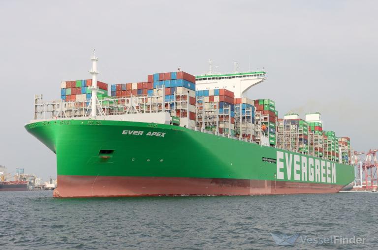 EVER APEX, Container Ship - Details and current position - IMO 9893979 ...