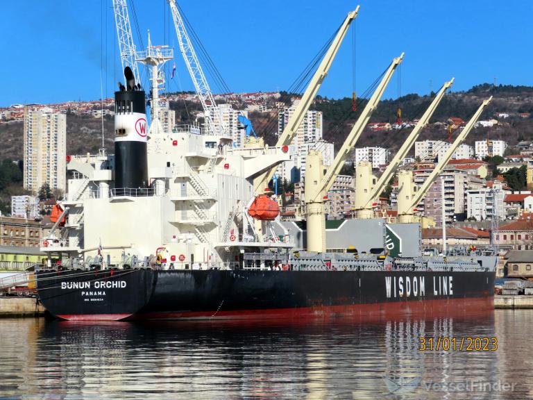 BUNUN ORCHID, Bulk Carrier - Details and current position - IMO 9894624 ...