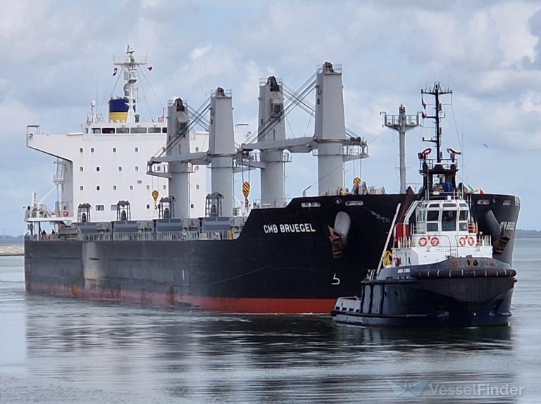 CMB BRUEGEL, Bulk Carrier - Details and current position - IMO 9894765 ...