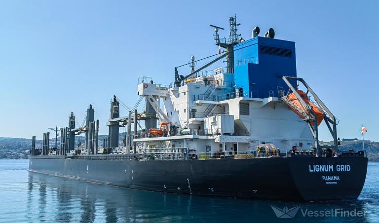 LIGNUM GRID, Bulk Carrier - Details and current position - IMO 9897975 ...