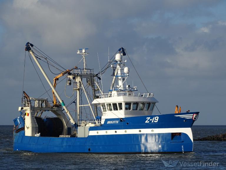 Z19 BRIGITTE, Fishing Vessel - Details and current position - IMO ...