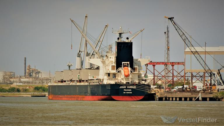 JUNO AVENIR, Bulk Carrier - Details and current position - IMO 9899399 ...