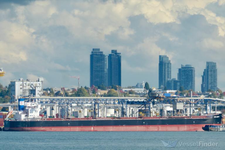 VITA UNITY, Bulk Carrier - Details and current position - IMO 9902275 ...