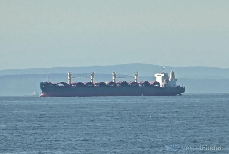 PINTAIL, General Cargo Ship - Details and current position - IMO ...