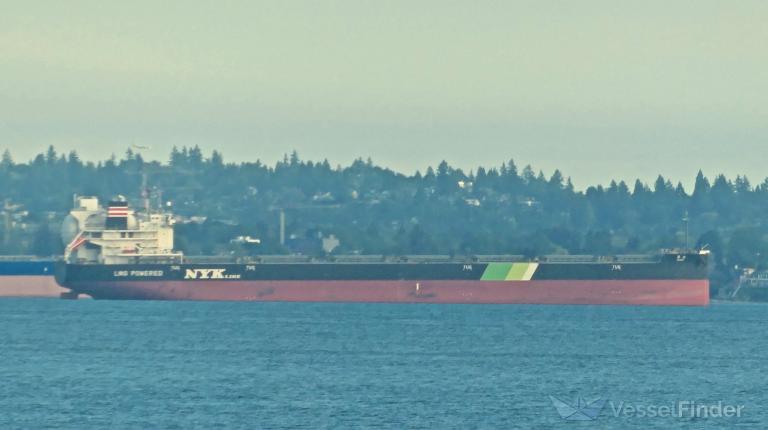 SHOYO, Bulk Carrier - Detalhes e posição atual - IMO 9902964 - VesselFinder