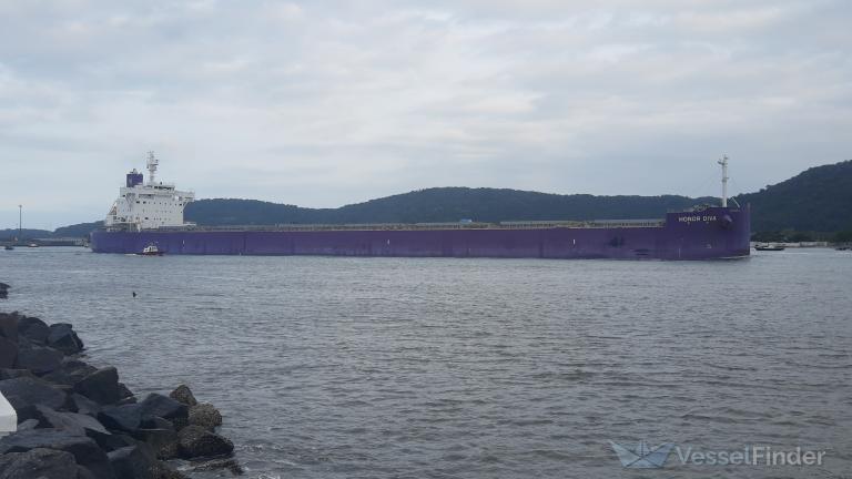 HONOR DIVA, Bulk Carrier - Details and current position - IMO 9905617 ...
