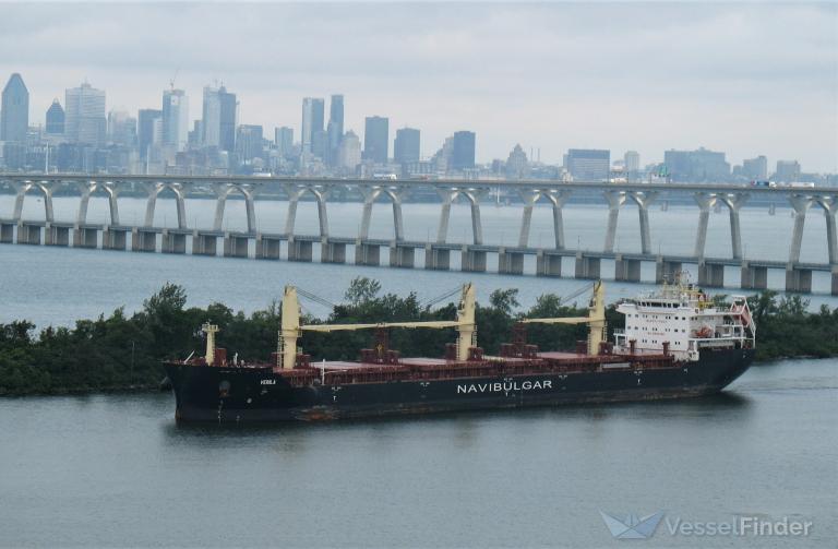 VERILA, Bulk Carrier - Details and current position - IMO 9905734 ...