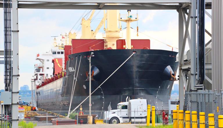 VERILA, Bulk Carrier - Détails du bateau et situation actuelle - IMO ...