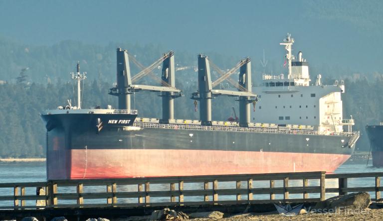 NEW FIRST, Bulk Carrier - Details and current position - IMO 9908243 ...