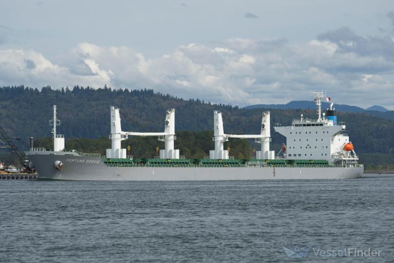 FORTUNE COOKIE, Bulk Carrier - Details and current position - IMO ...