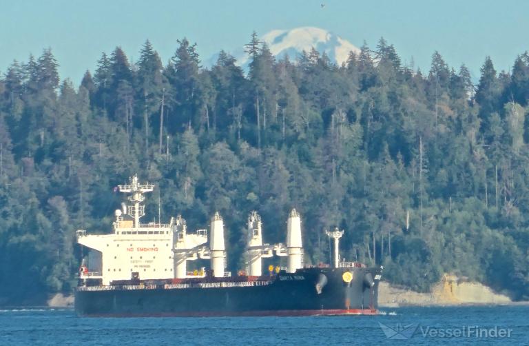 DARYA MIRA, Bulk Carrier - Details and current position - IMO 9909089 ...