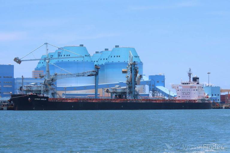 ACRUX AMELIA, Bulk Carrier - Details and current position - IMO 9909194 ...