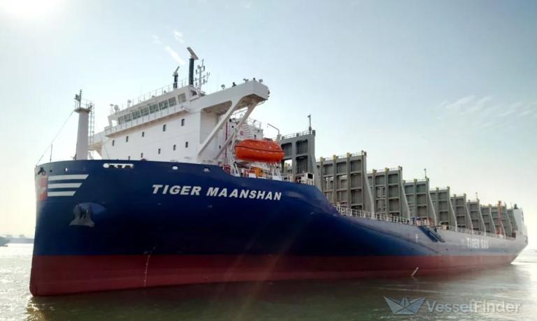 TIGER MAANSHAN, Deck Cargo Ship - Details and current position - IMO 9913559 - VesselFinder