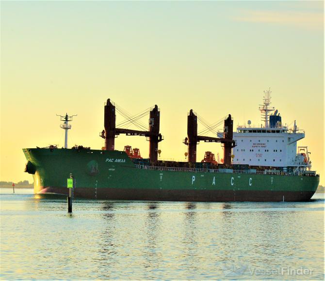 PAC ANKAA, Bulk Carrier - Details and current position - IMO 9913664 ...