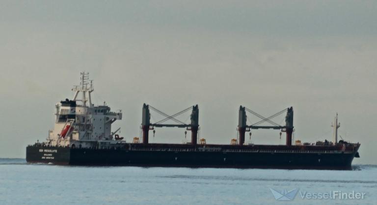 SSI RESOLUTE, Bulk Carrier - Details and current position - IMO 9918755 ...
