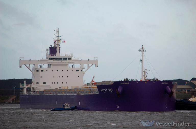 AGILITY DIVA, Bulk Carrier - Details and current position - IMO 9919929 ...