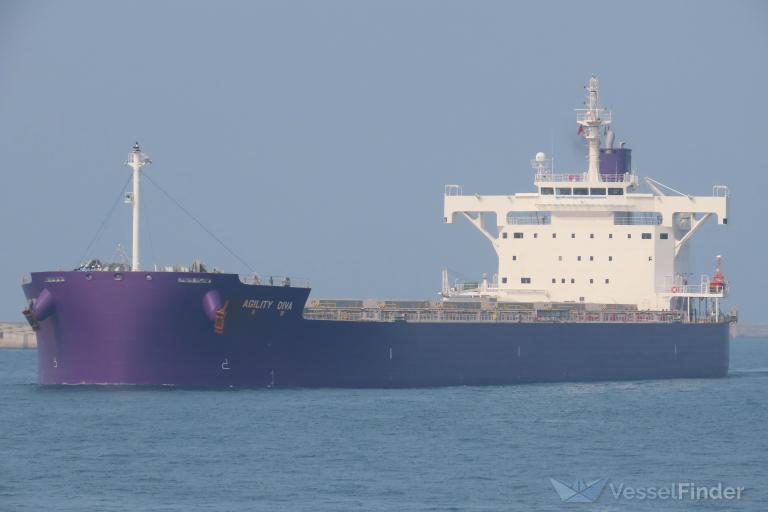 AGILITY DIVA, Bulk Carrier - Details and current position - IMO 9919929 ...