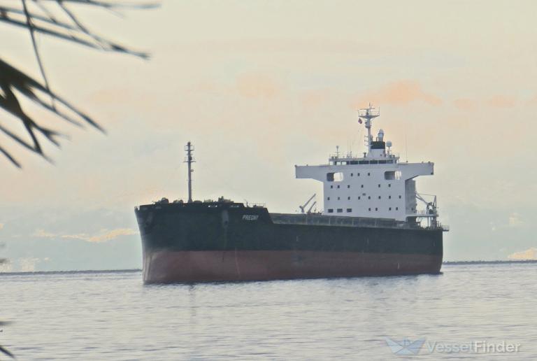 PREGNY, Bulk Carrier - Details and current position - IMO 9925746 ...