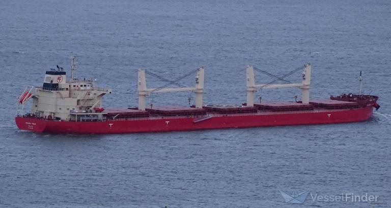FEDERAL POWER, Bulk Carrier - Details and current position - IMO ...