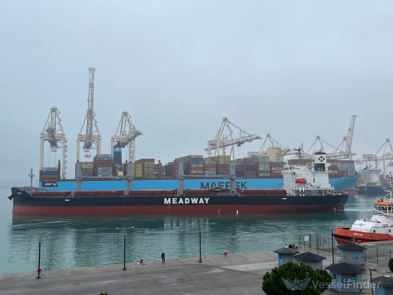 DANAE, Bulk Carrier - Details and current position - IMO 9926271 ...