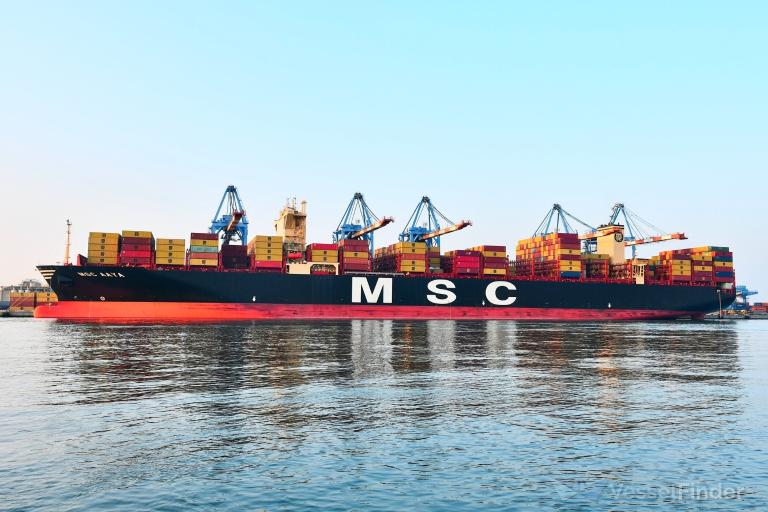 MSC AAYA, Container Ship - Details and current position - IMO 9927263 ...