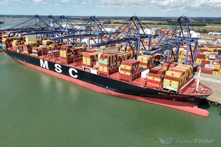 MSC AAYA, Container Ship - Details and current position - IMO 9927263 ...