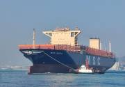 MSC FREYA, Container Ship - Details and current position - IMO 9932062 ...