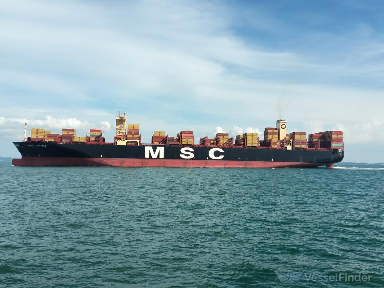 MSC DARIA, Container Ship - Detalles del buque y posición actual - IMO ...