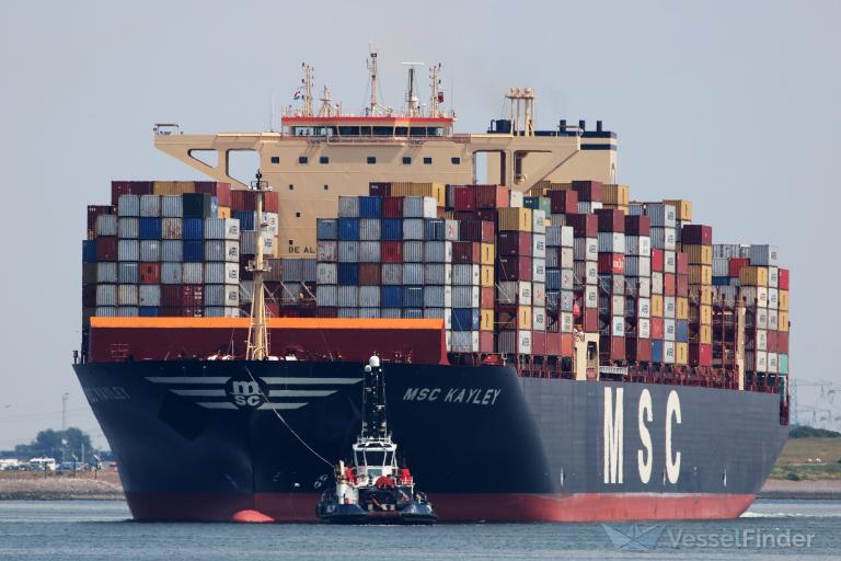 MSC KAYLEY, Container Ship - Details and current position - IMO 9927299 ...