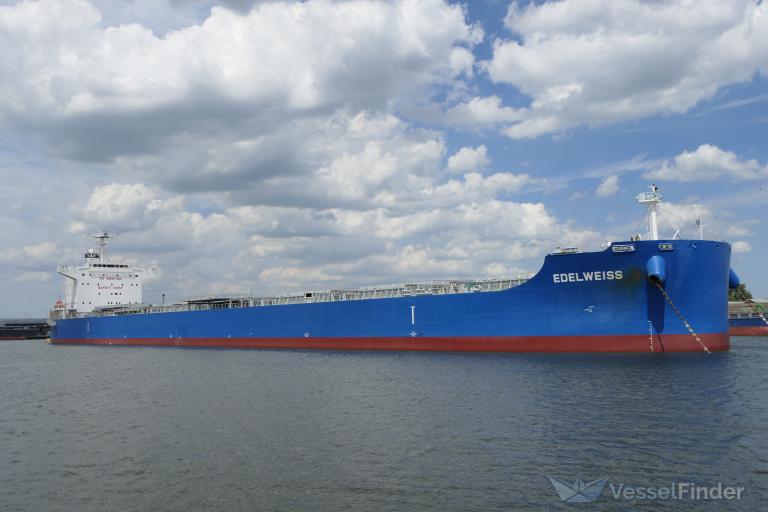 EDELWEISS, Bulk Carrier - Details and current position - IMO 9928396 ...