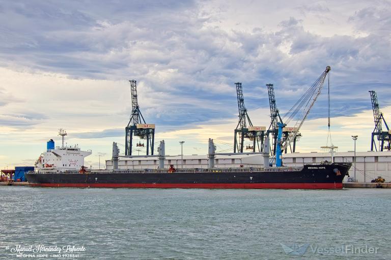 MEGHNA HOPE, Bulk Carrier - Details and current position - IMO 9928841 ...
