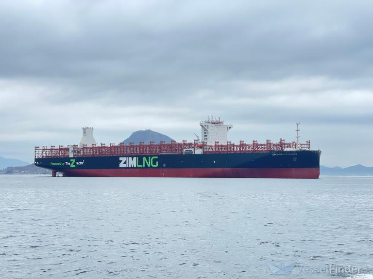 ZIM MOUNT EVEREST, Container Ship - Details and current position - IMO ...