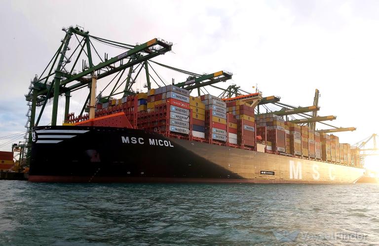 MSC MICOL, Container Ship - Details and current position - IMO 9931290 ...