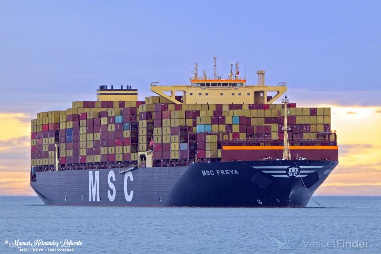 MSC FREYA, Container Ship - Details and current position - IMO 9932062 ...